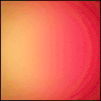 Orange GIFs - Get the best gif on GIFER