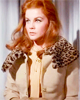 Ann GIFs - Get the best gif on GIFER