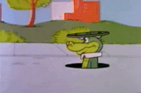 Alligator GIFs - Get the best gif on GIFER