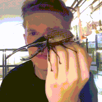 Beetle GIFs - Get the best gif on GIFER