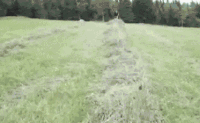 Farm GIFs - Get the best gif on GIFER