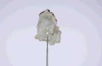 Fragmented GIFs - Get the best gif on GIFER