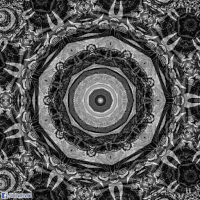 Gray GIFs - Get the best gif on GIFER