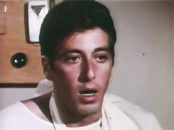 Alpacinoz GIFs - Get the best gif on GIFER
