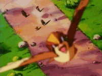 Pidgeot GIFs - Get the best gif on GIFER