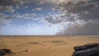 Desert GIFs - Get the best gif on GIFER