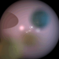 Trace GIFs - Get the best gif on GIFER