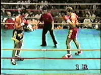 Kickboxing GIFs - Get the best gif on GIFER