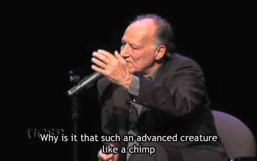Eoshd GIFs - Get the best gif on GIFER