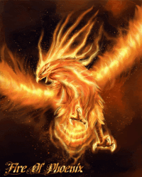 Phoenix GIFs - Get the best gif on GIFER