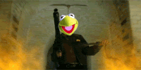 Kermit GIFs - Get the best gif on GIFER