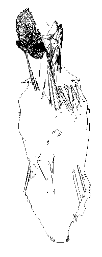 Distorted GIFs - Get the best gif on GIFER