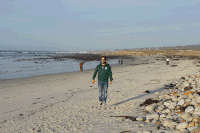 Pebble GIFs - Get the best gif on GIFER