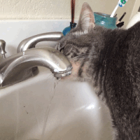 Mitty GIFs - Get the best gif on GIFER