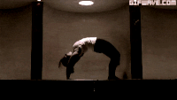 Standard GIFs - Get the best gif on GIFER