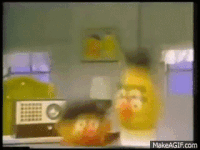 Bert GIFs - Get the best gif on GIFER