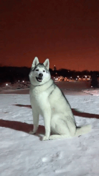 Fyi GIFs - Get the best gif on GIFER