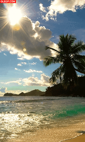 Playa GIFs - Get the best gif on GIFER