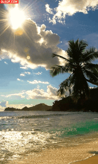 Copacabana Gifs Get The Best Gif On Gifer