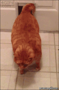Resistance GIF - Conseguir el mejor gif en GIFER