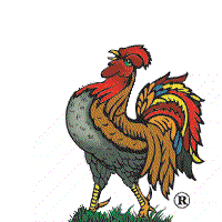Rooster GIFs - Get the best gif on GIFER