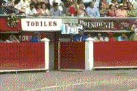 Predictions GIFs - Get the best gif on GIFER