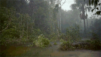 Jungle GIFs - Get the best gif on GIFER