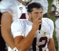 Pinto GIFs - Get the best gif on GIFER