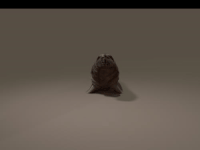 Redo GIFs - Get the best gif on GIFER