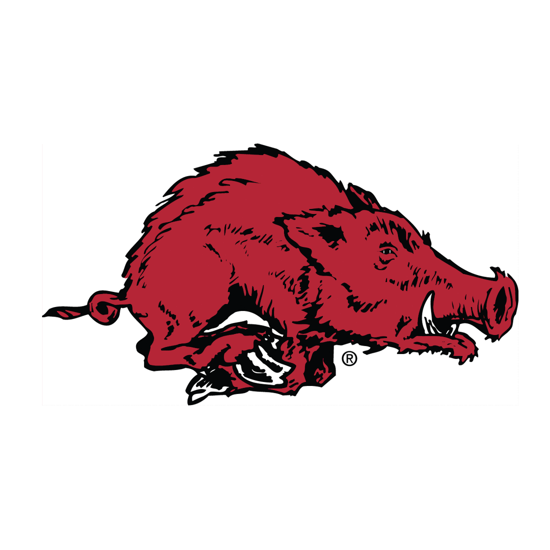 Arkansas razorbacks гифки, анимированные GIF изображения arkansas ...