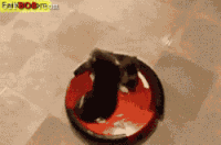 Bus stop GIFs - Get the best gif on GIFER