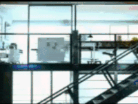 Astute GIFs - Get the best gif on GIFER