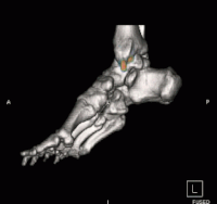 Ct GIFs - Get the best gif on GIFER