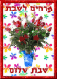 Shabbat GIFs - Get the best gif on GIFER