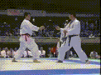 Karate GIFs - Get the best gif on GIFER