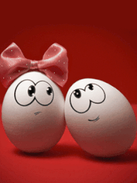 Eggs GIFs - Get the best gif on GIFER