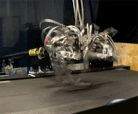 Fastest GIFs - Get the best gif on GIFER