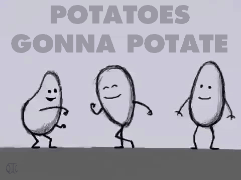 Feier GIFs - Get the best gif on GIFER