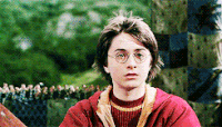 Quidditch GIFs - Get the best gif on GIFER