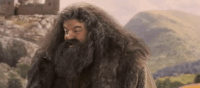 Hagrid GIFs - Get the best gif on GIFER
