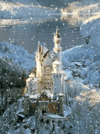 Marketplace GIFs - Get the best gif on GIFER
