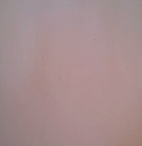 Raspberry GIFs - Get the best gif on GIFER