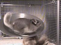 Fella GIFs - Get the best gif on GIFER