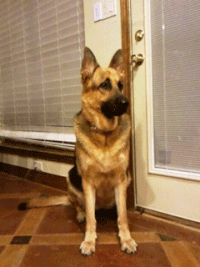 Sitting GIFs - Get the best gif on GIFER