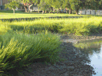 Oceanography GIFs - Get the best gif on GIFER