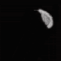 Chute GIF - Conseguir o melhor gif em GIFER