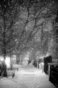 January GIFs - Get the best gif on GIFER