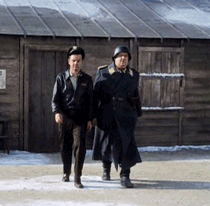 Schultz GIFs - Get the best gif on GIFER