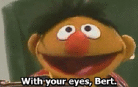 Bert GIFs - Get the best gif on GIFER