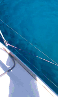 Catapult GIFs - Get the best gif on GIFER